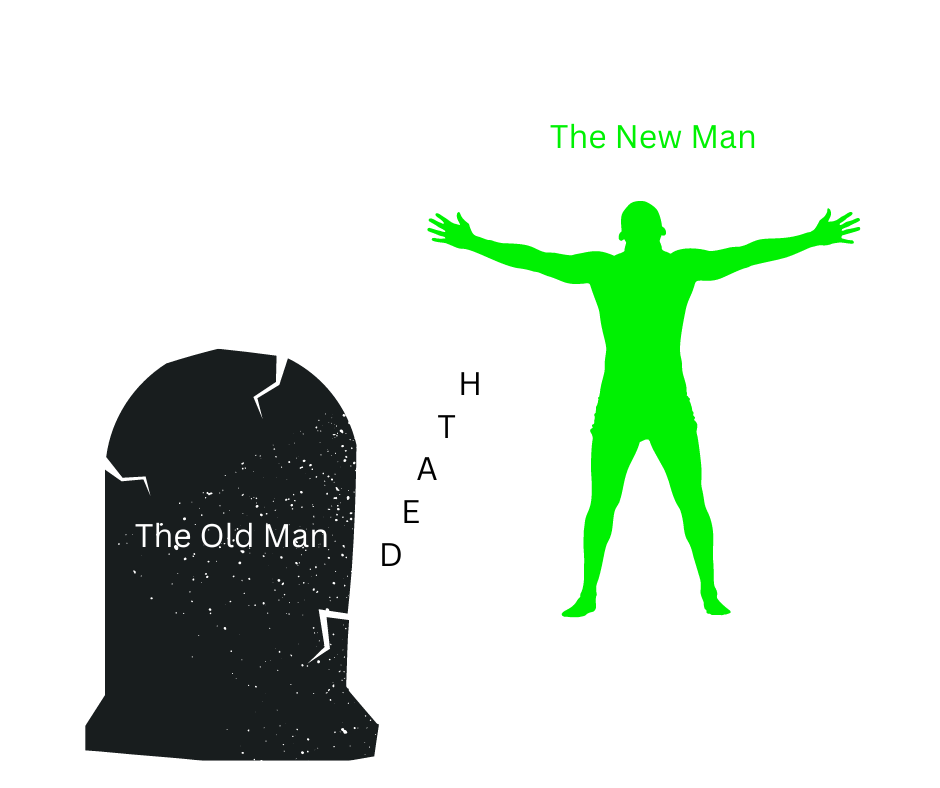 The Creation of The New Man (Co-Resurrection with Christ) - That We May ...
